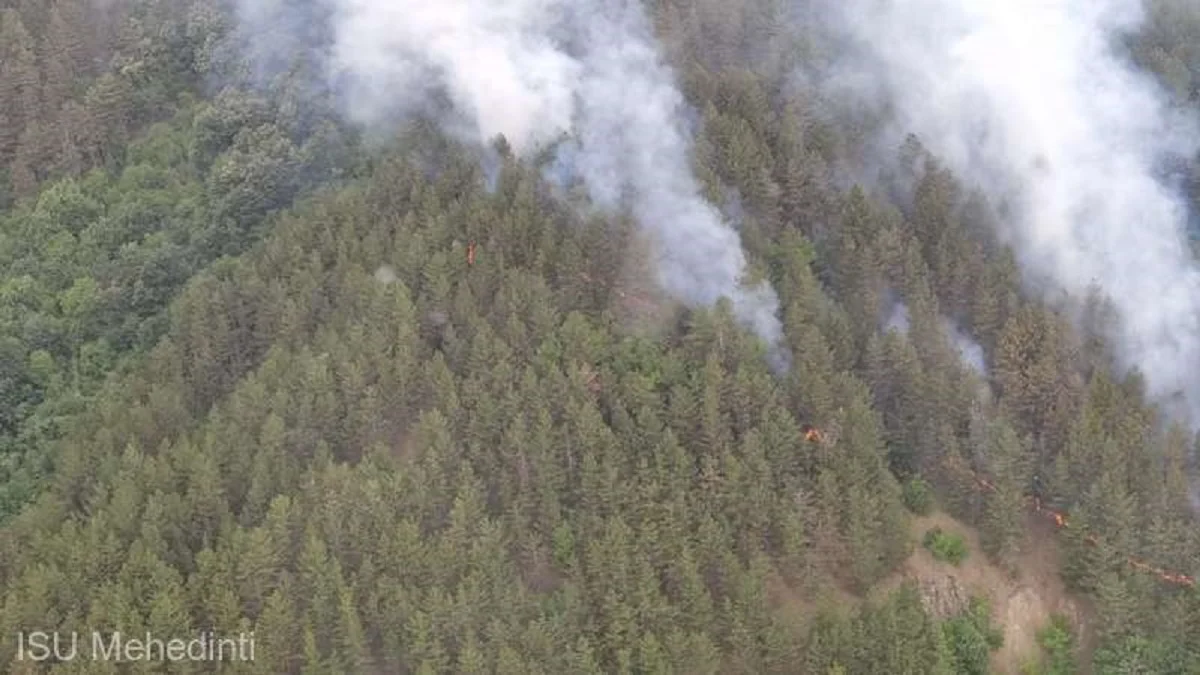 Incendiu devastator în Mehedinți: Pompierii continuă lupta cu flăcările ...
